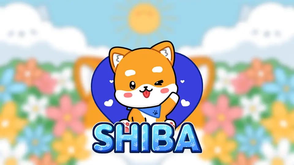 SHIBA 유저보드